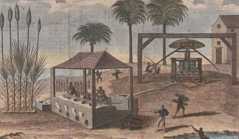 History of the Triangle Trade – P. Preservationist